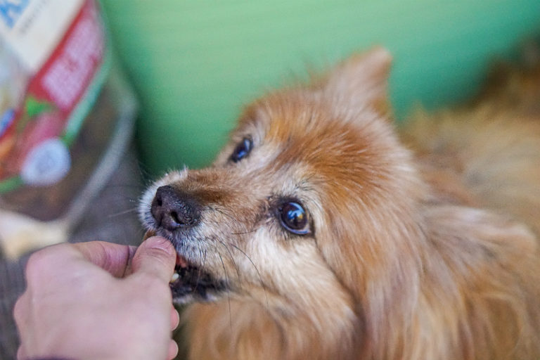 Milo's Kitchen Homestyle Dog Treats That Your Furry Friends Will Love ...