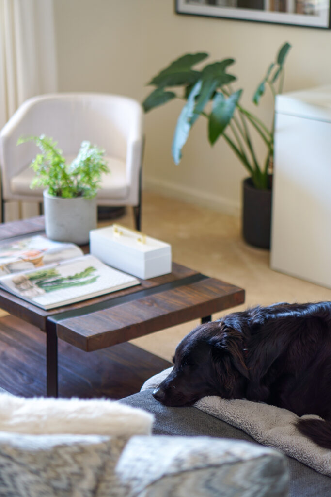 Inspiring Ideas To Elevate Your Home & Life from World-Renowned Feng ...