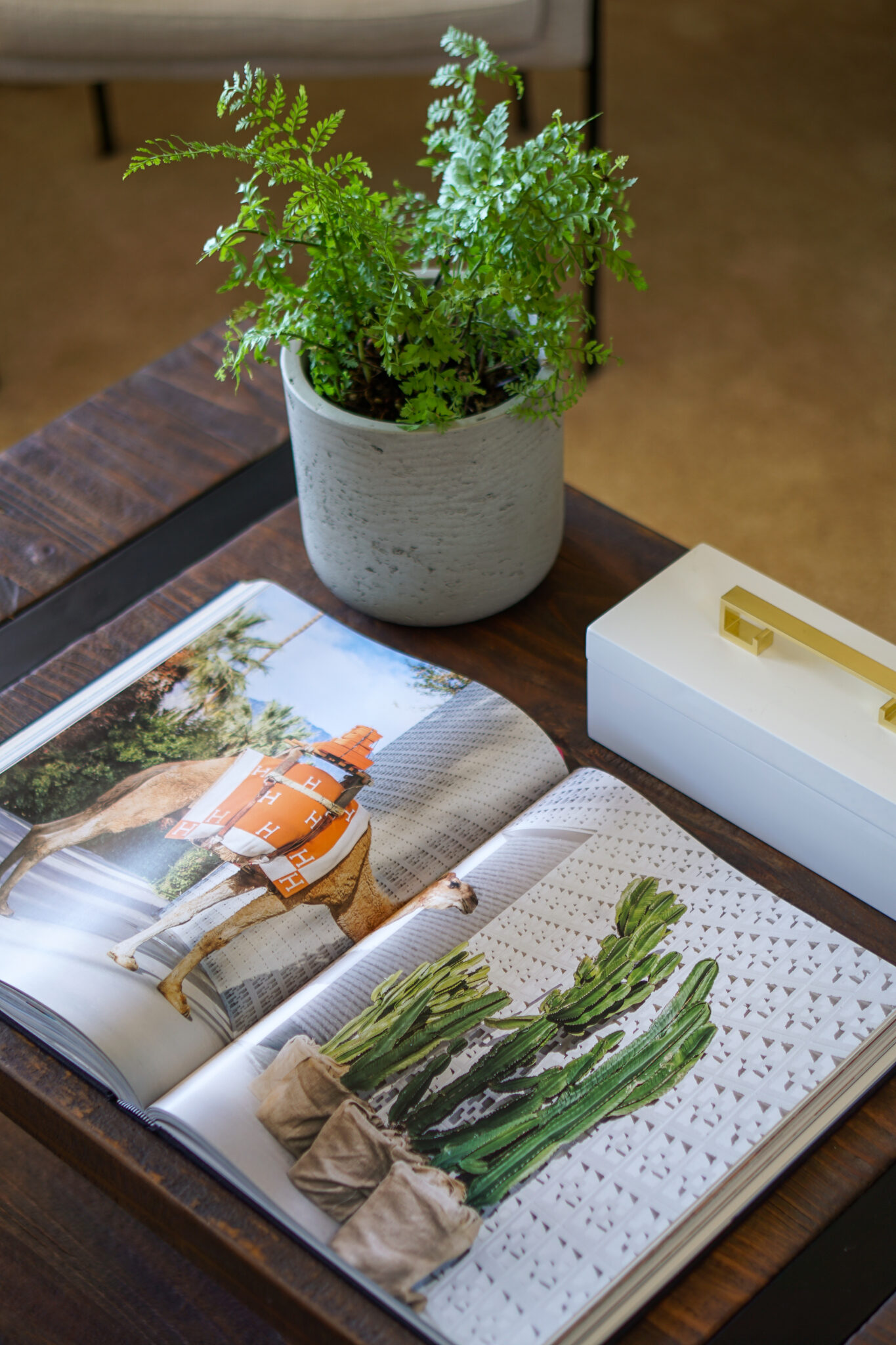 Inspiring Ideas To Elevate Your Home & Life from World-Renowned Feng ...