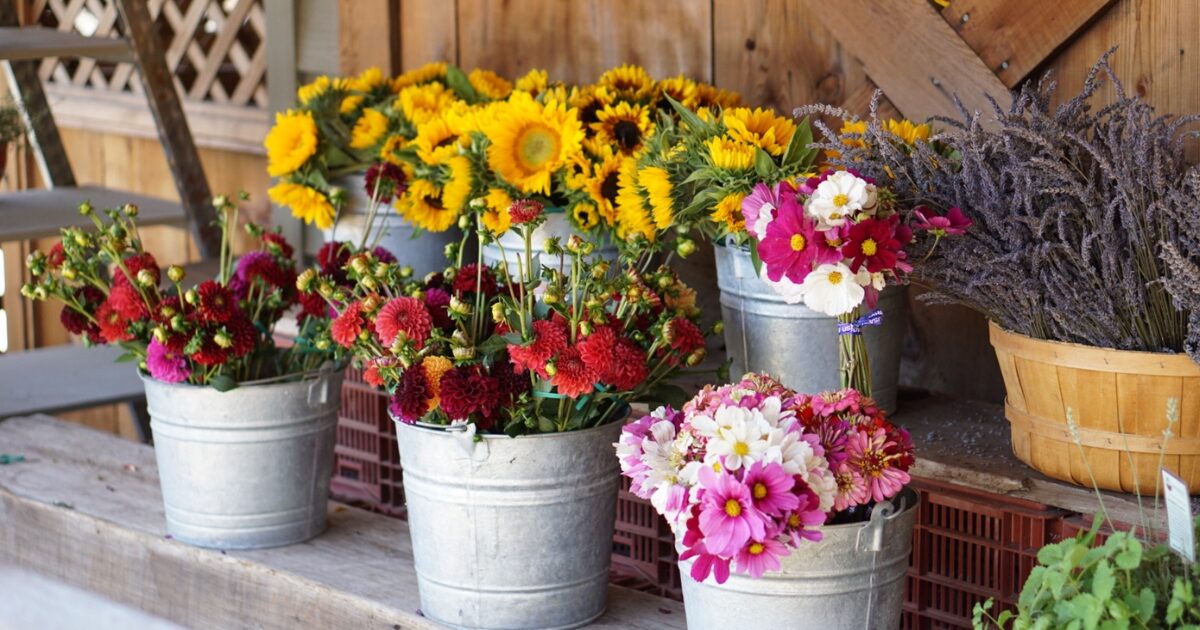 Charming Events Designed To Inspire You To Celebrate The Joy of Autumn ...